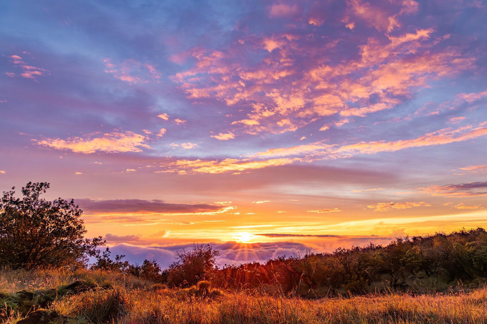 Mauna Kea Sunset - Beautiful Sunset Colors From Mauna Kea Volcano in ...