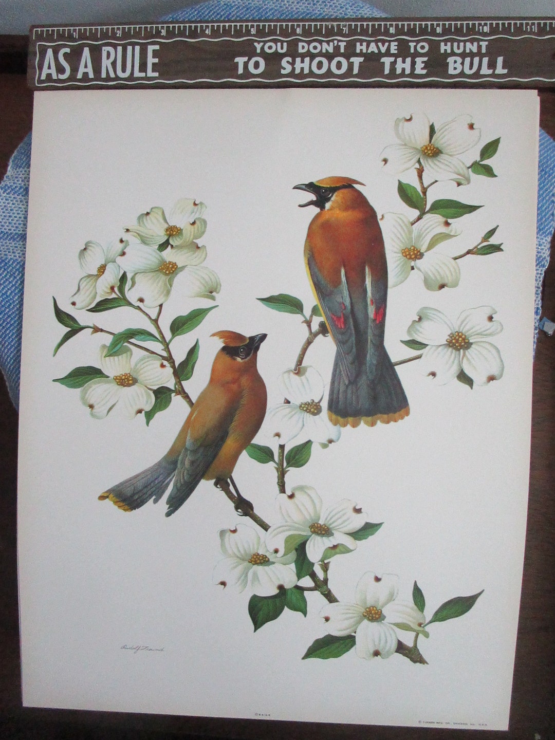 Rudolf Freund New Old Stock Height 14 1/8 X 11 Wide. Turner MFG. CO - Etsy