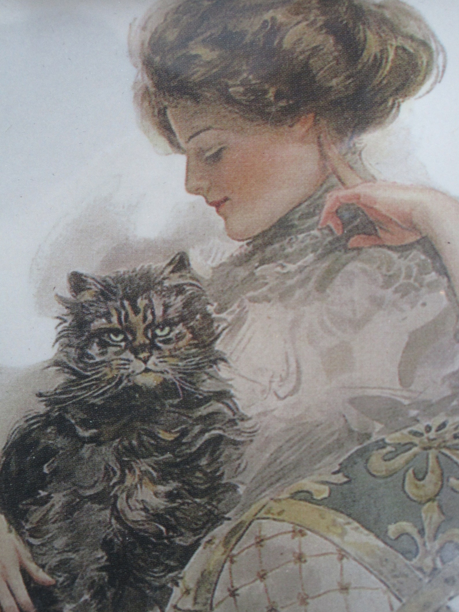 Lady With Cat by Harrison Fisher 1908 Frame Lithograph Print - Etsy