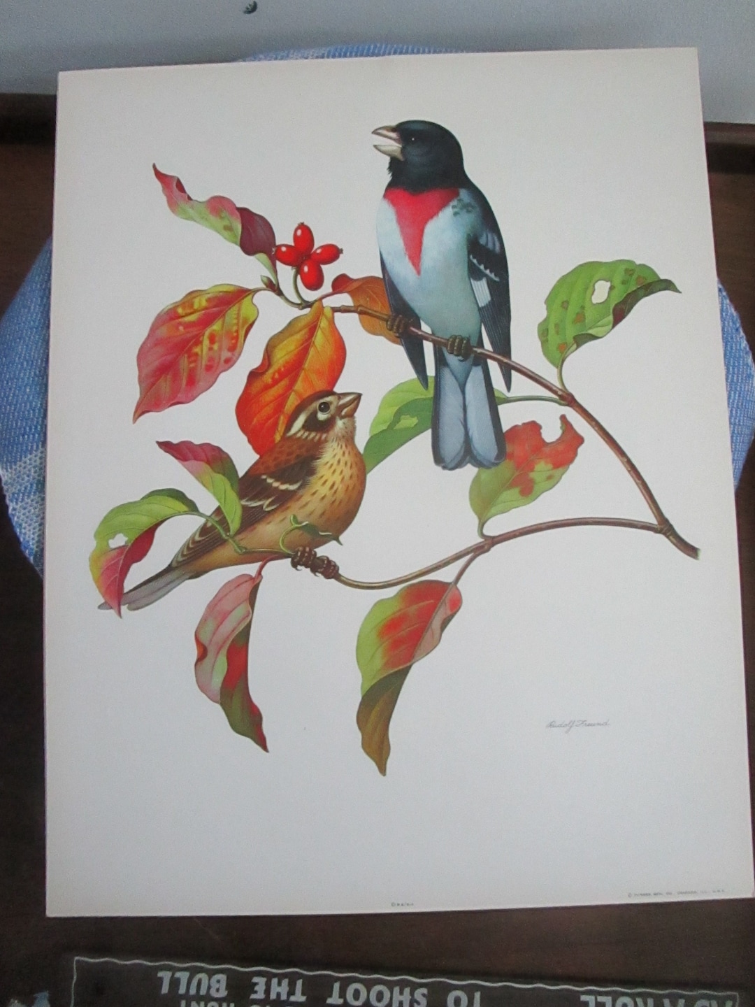 Rudolf Freund Lithograph Made in the USA. Height 14" X 11 1/8" New Old ...