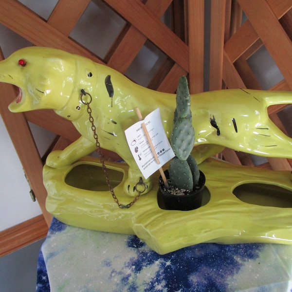 Chartreuse Planter - Etsy