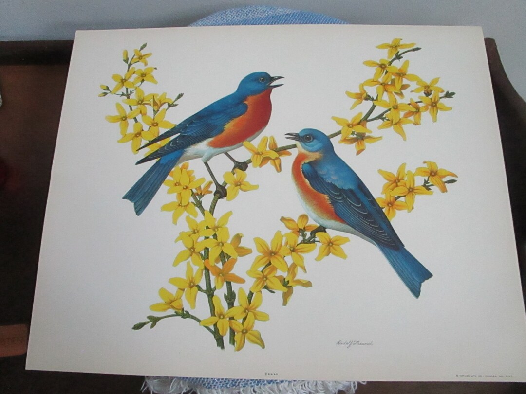 Rudolf Freund Lithograph Made in the USA. Height 11" X 14" Wide New Old ...