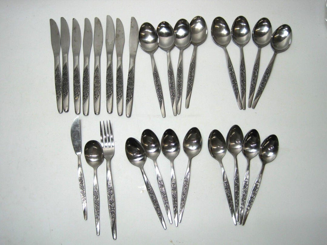 28 Pieces NASCO National Stainless ROSEVINE CARESS Flatware - Etsy