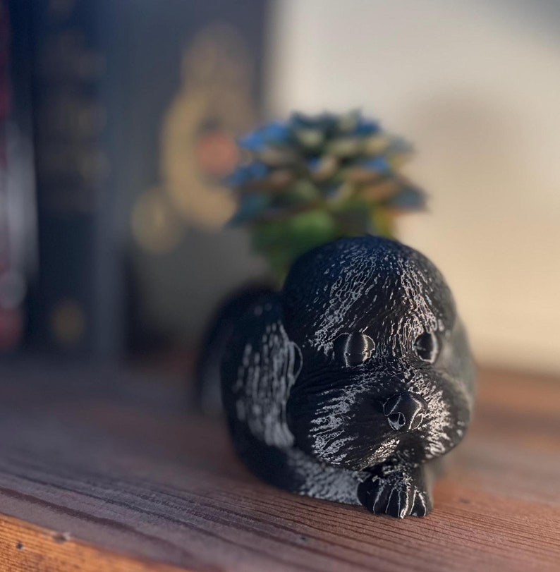 Unique Planter: Poodle – Succulent & Desk Companion for Dog Lovers - Etsy