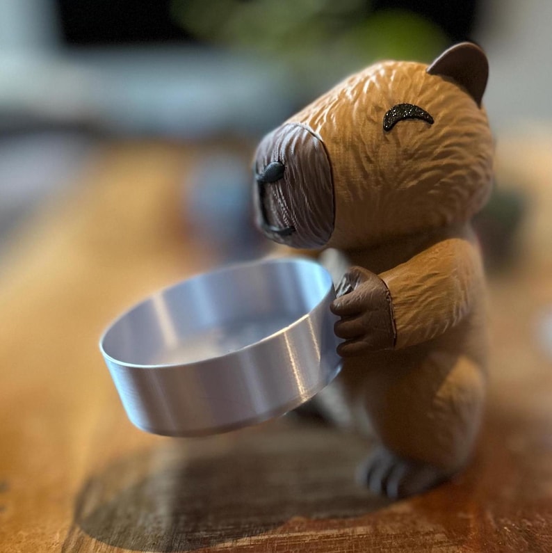 Capybara Jewelry Holder 3D Printed Trinket Dish, Gold/silver Options - Etsy