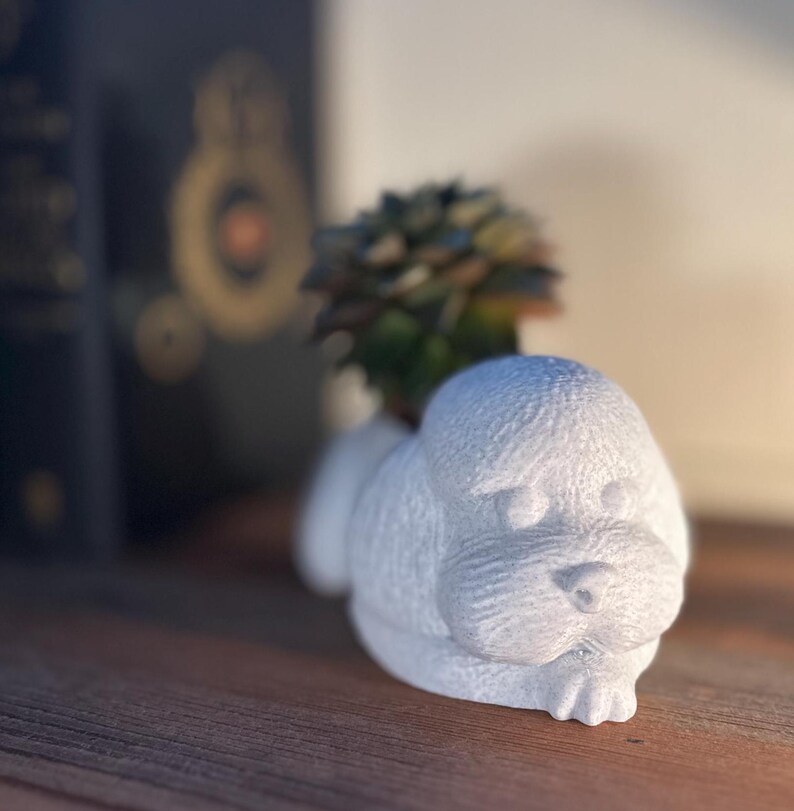Unique Planter: Poodle – Succulent & Desk Companion for Dog Lovers - Etsy