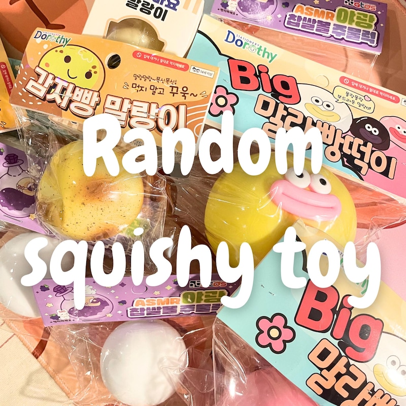 Squishy Dumpling Mystery Box - Etsy