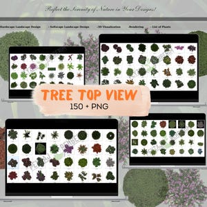 150+ Tree Plan Views: 2D Tree Designs (digital Download) - Etsy