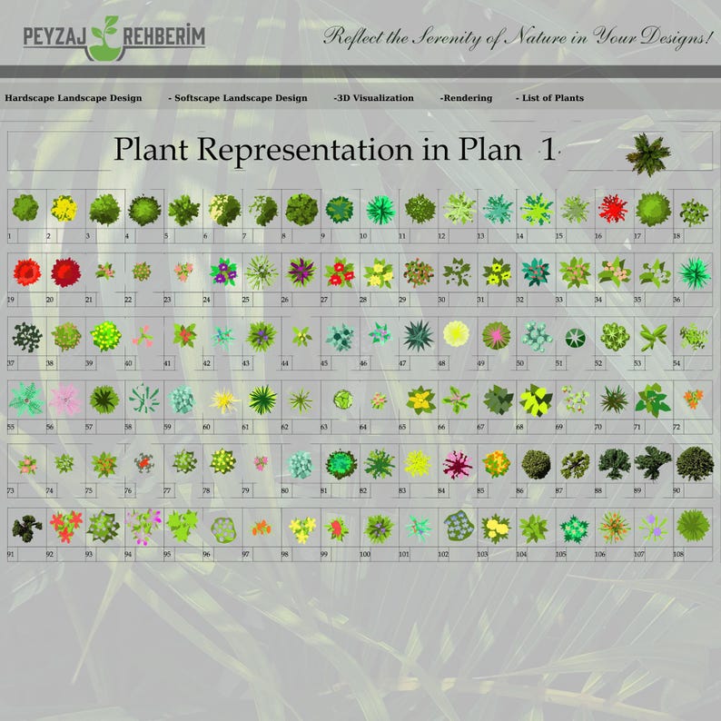 2D Plant Illustrations: Landscape & Garden Design (PSD File) - Etsy