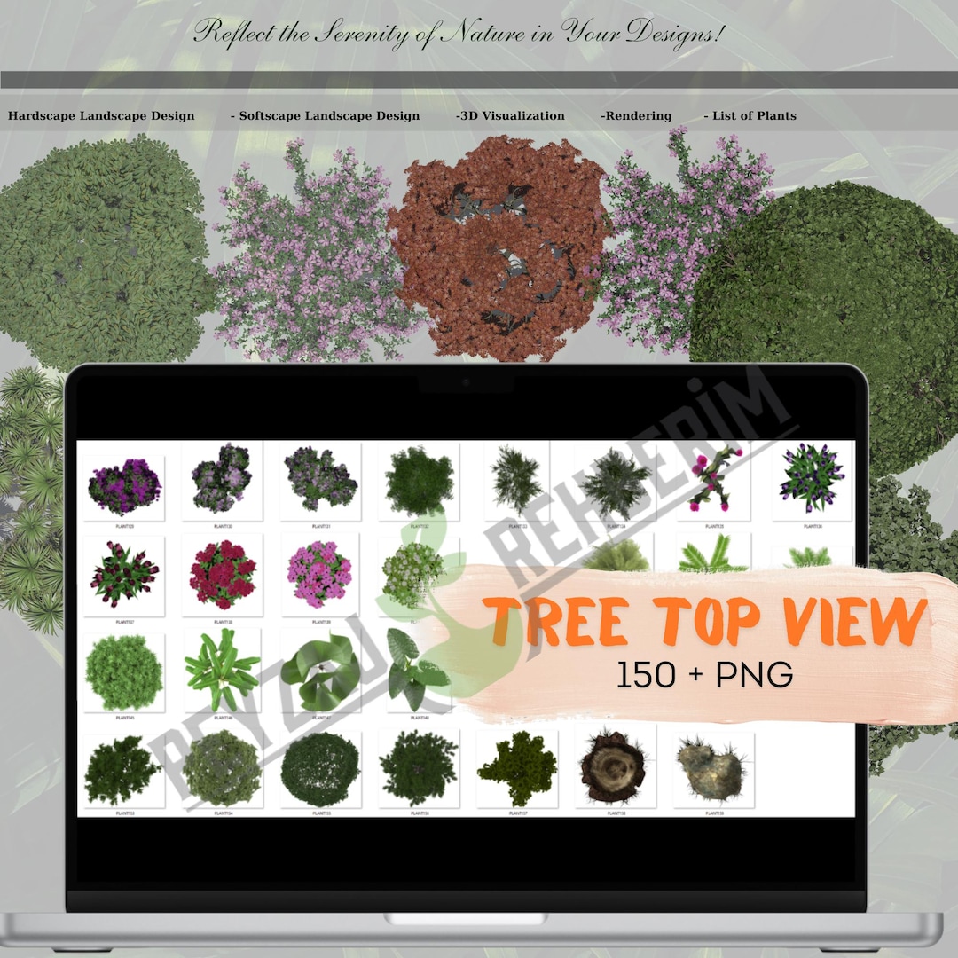 High-quality 2D Tree Plan Views for Your Projects – Over 150 Unique ...