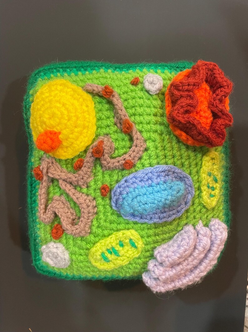 Crochet Plant Cell With Organelles – Handmade Scientific Model ...