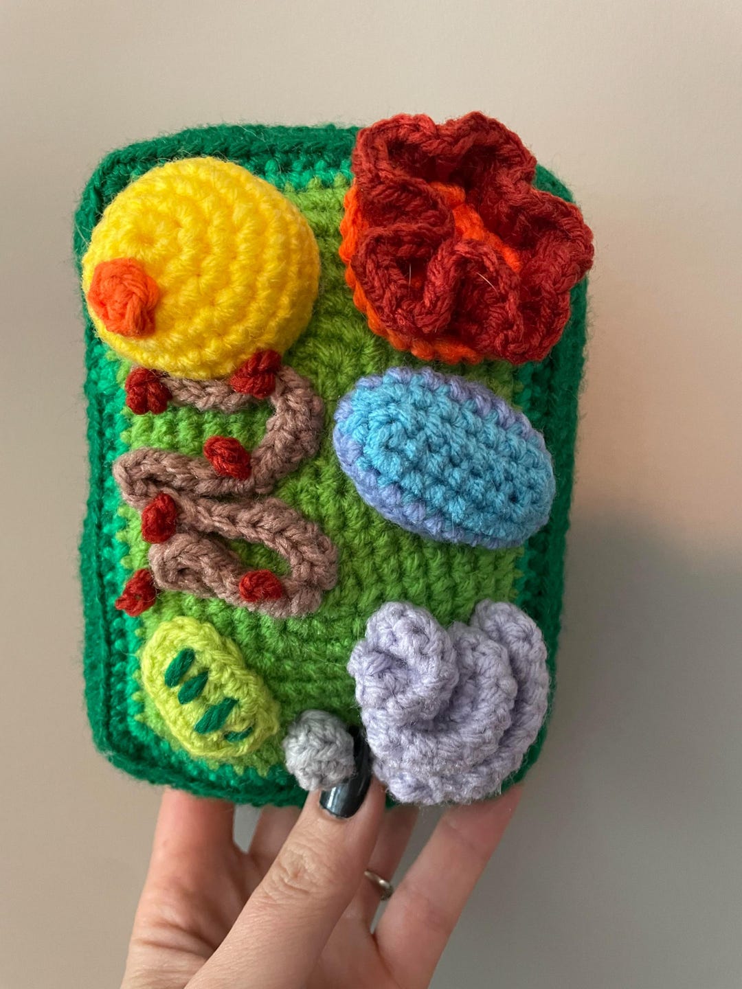 Crochet Plant Cell With Organelles – Handmade Scientific Model ...