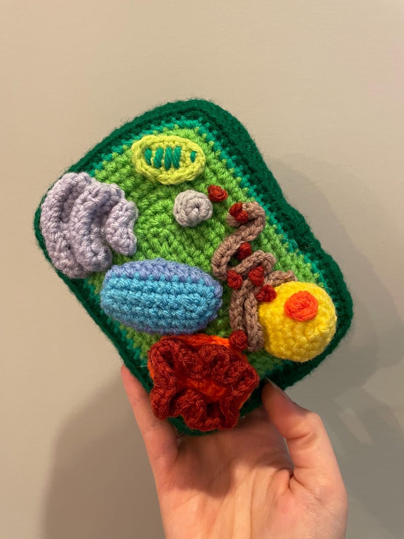 Crochet Plant Cell With Organelles – Handmade Scientific Model ...