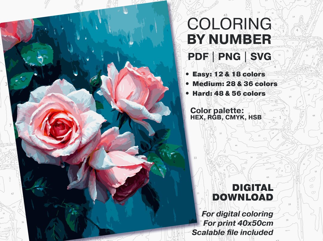 Roses in Rain: Coloring by Numbers (digital Download) - Etsy