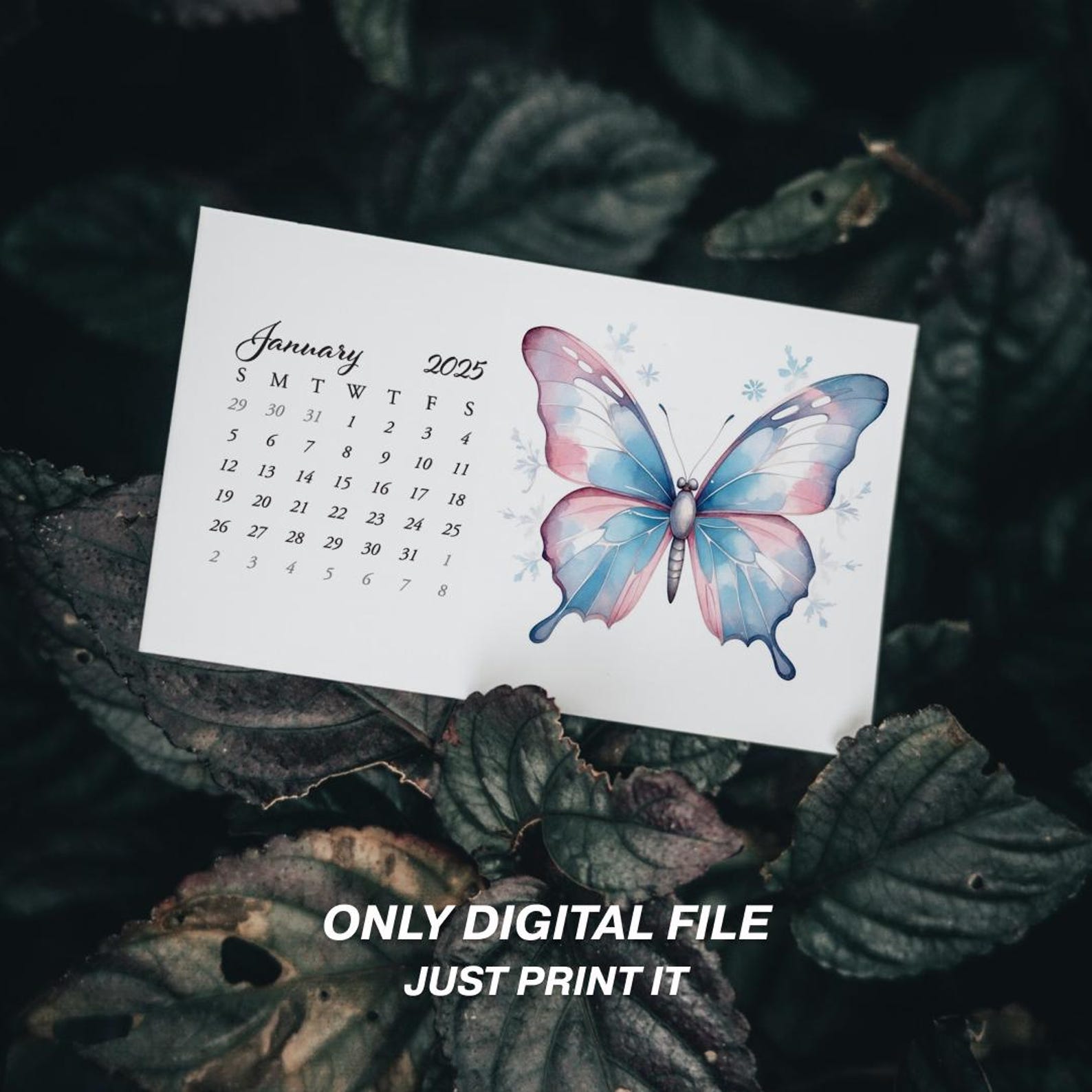 Watercolor Butterfly Mini Calendars 2025: Elegant Monthly Cards (PDF ...