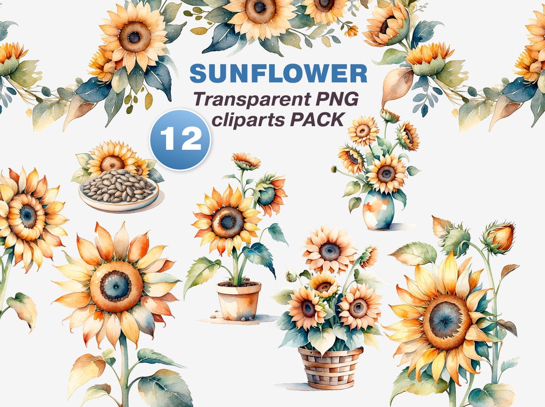 Watercolor Sunflower Clipart: 12 PNG Illustrations (commercial Use) - Etsy