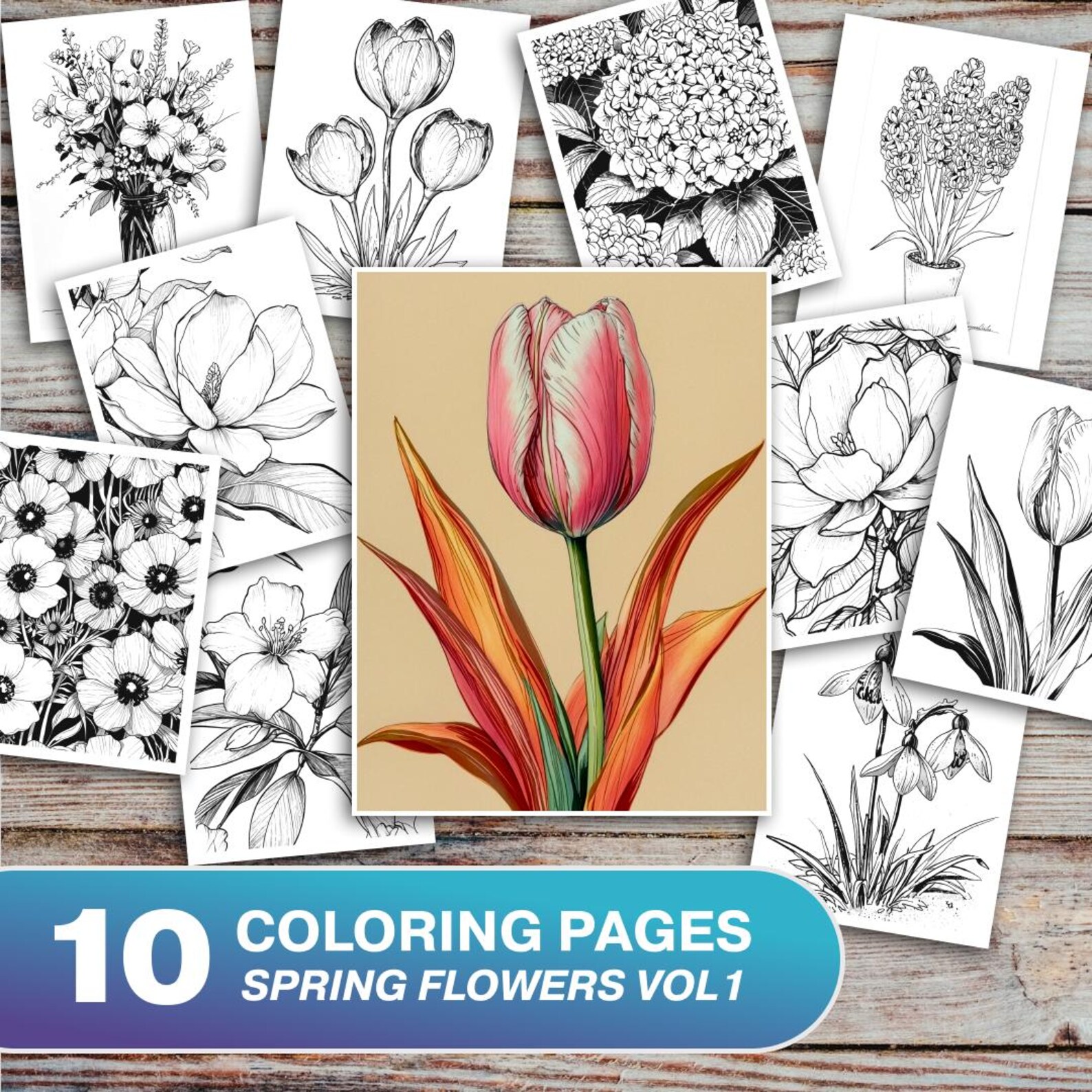 10 Floral Coloring Book Pages. Spring Flowers Blossom VOL1 in Dark ...