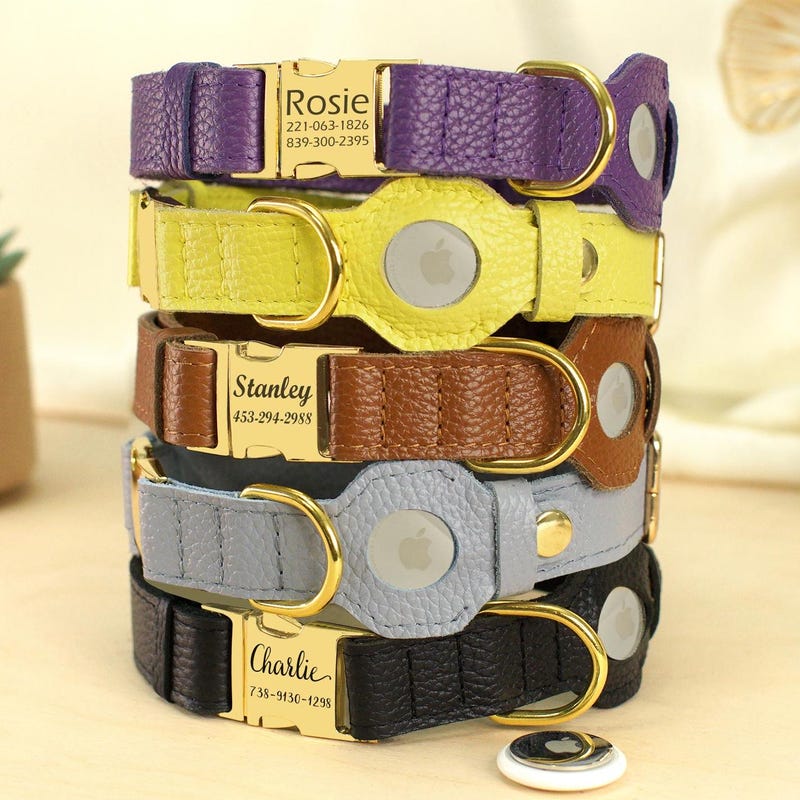 Dog Collar With Name - Etsy