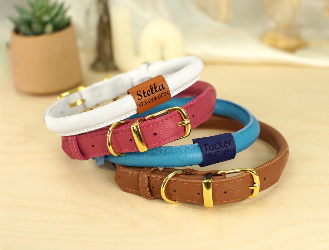 Soft Padded Rolled Dog Collar With Name ID Tag, Personalized Dog Collar ...