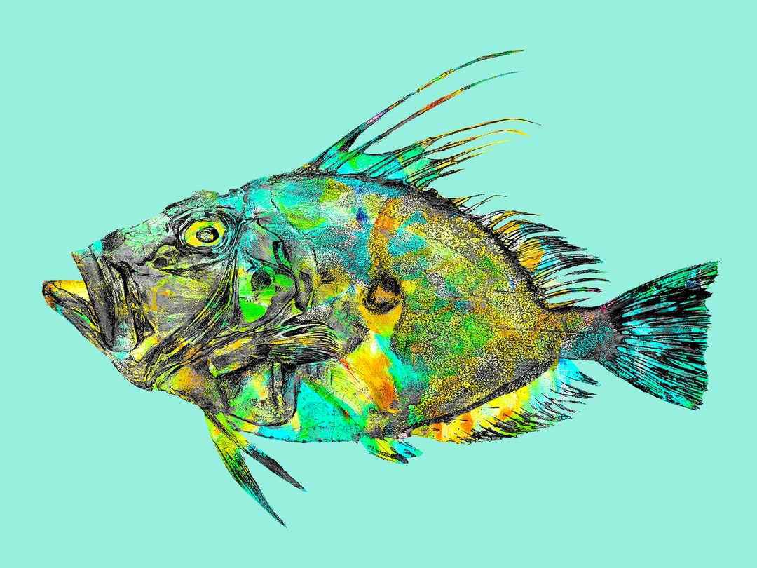 SOMETHING FISHY – Asian Electronic Garbage Gobbler - Pop Art ...
