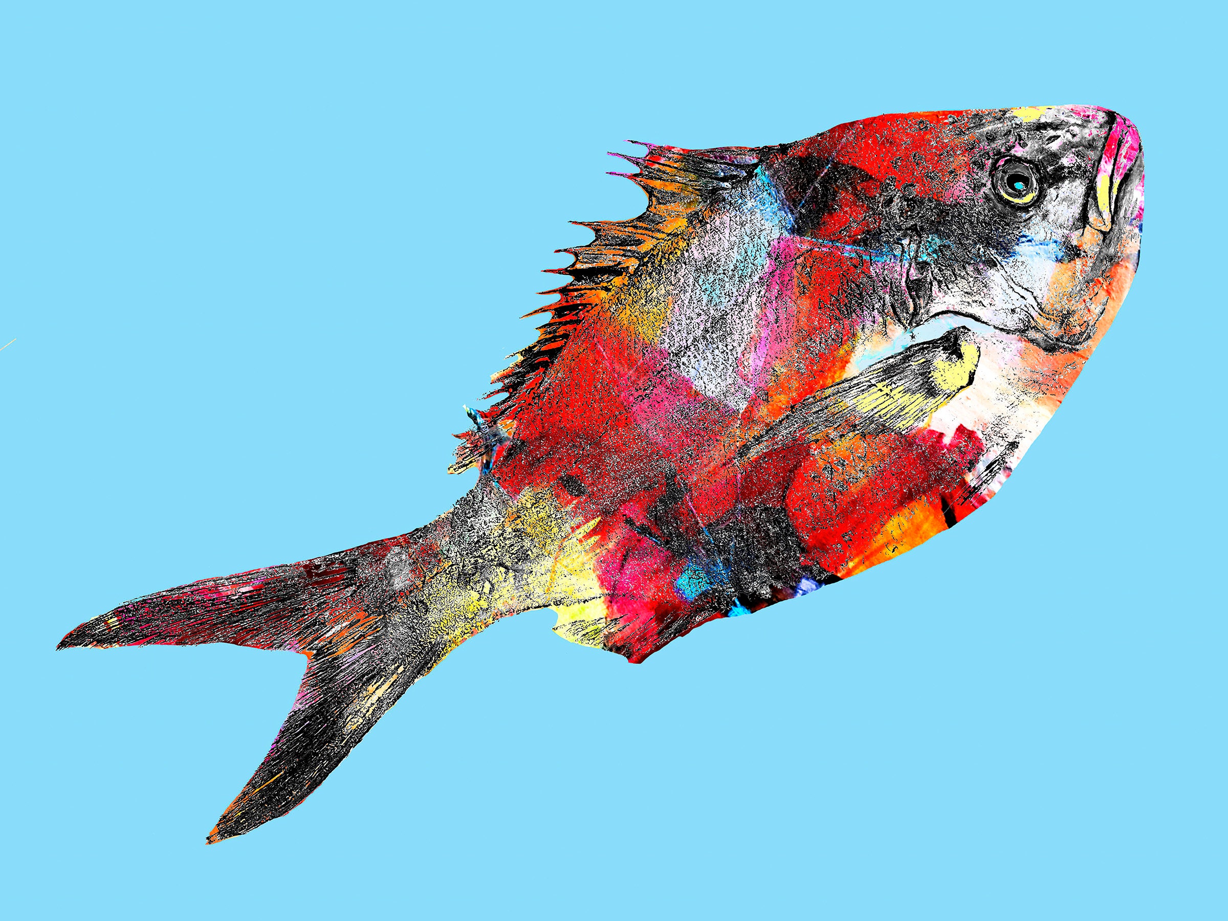 SOMETHING FISHY – Atlantic Benzene Leecher - Pop Art, Contemporary ...