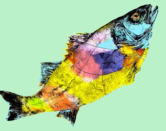 Mixed Media Fish Art - Etsy