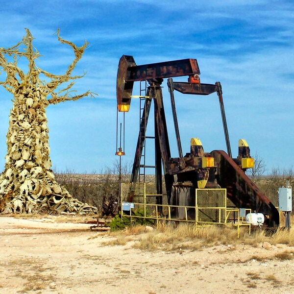 Fossil Fuel Art - Etsy