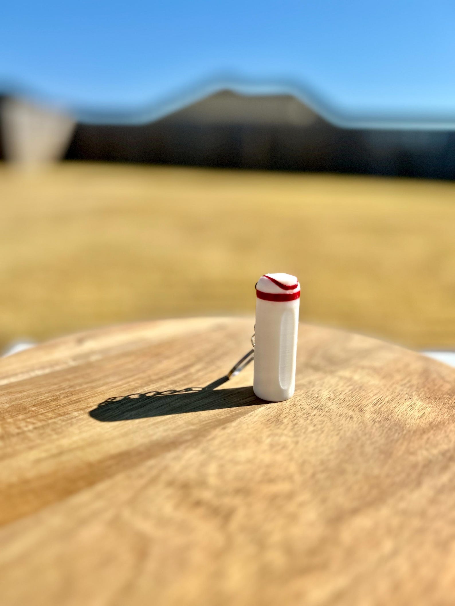 The Tinywala- Customizable Keychain Water Bottle Inspired by the Owala ...