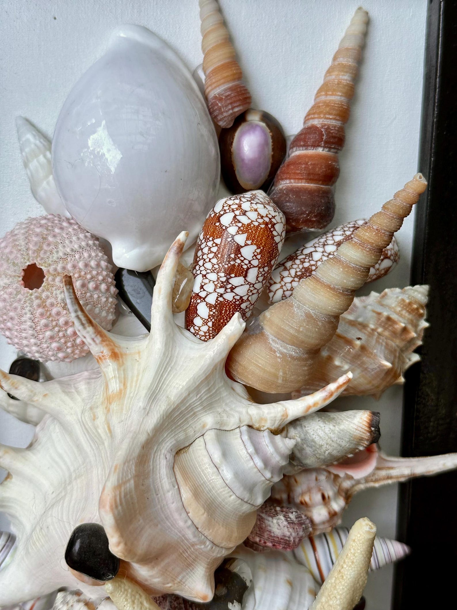 Handcrafted Seashell and Starfish Art Frame - Etsy