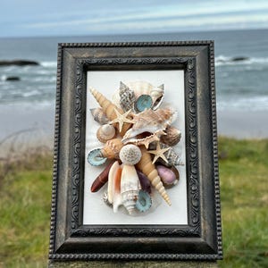 Sea Shell Art Frame. Coastal Wall Art. Natural Sea Shells. Beach House ...