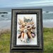 Sea Shell Art Frame. Coastal Wall Art. Natural Sea Shells. Beach House ...