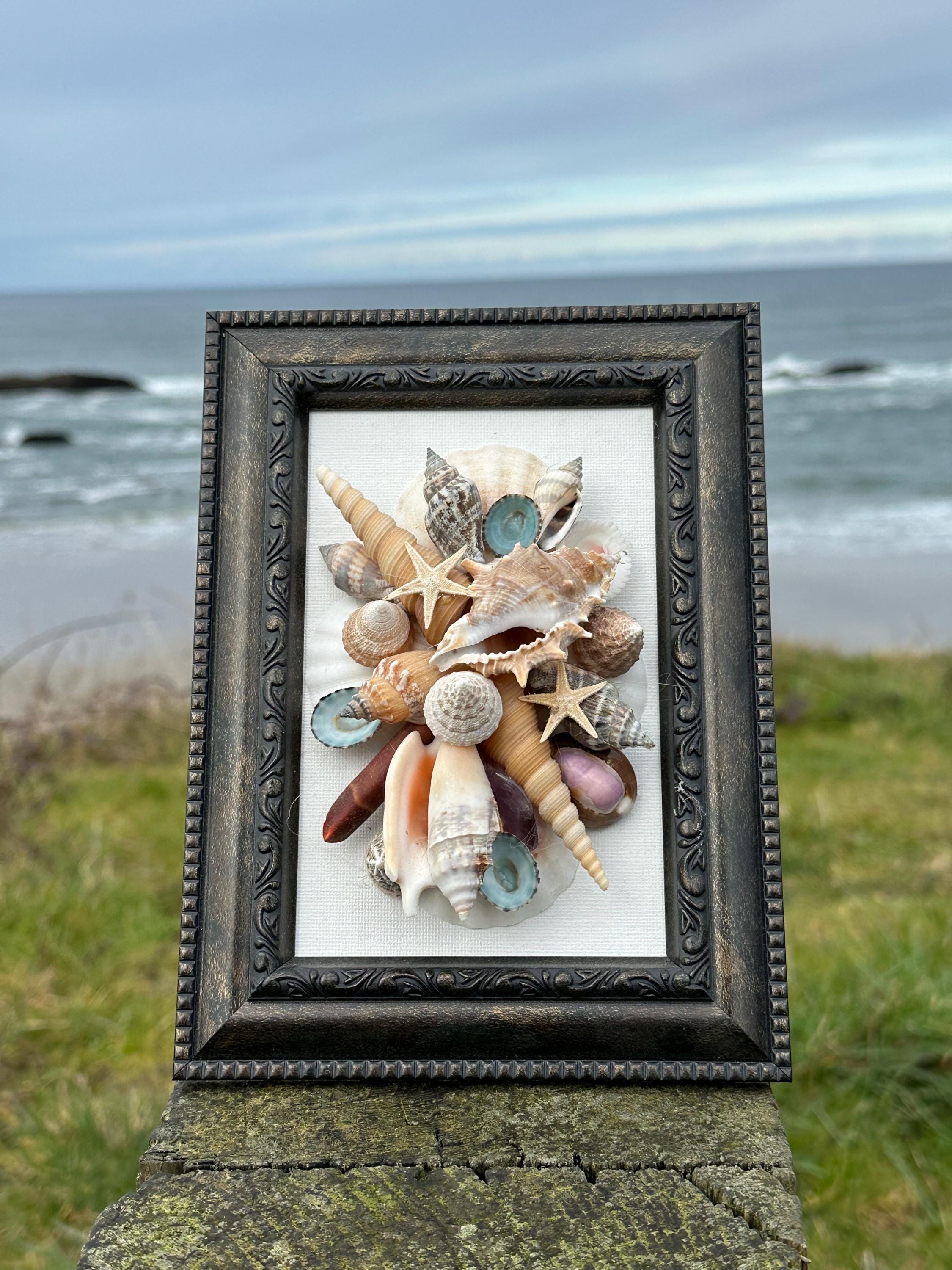 Sea Shell Art Frame. Coastal Wall Art. Natural Sea Shells. Beach House ...
