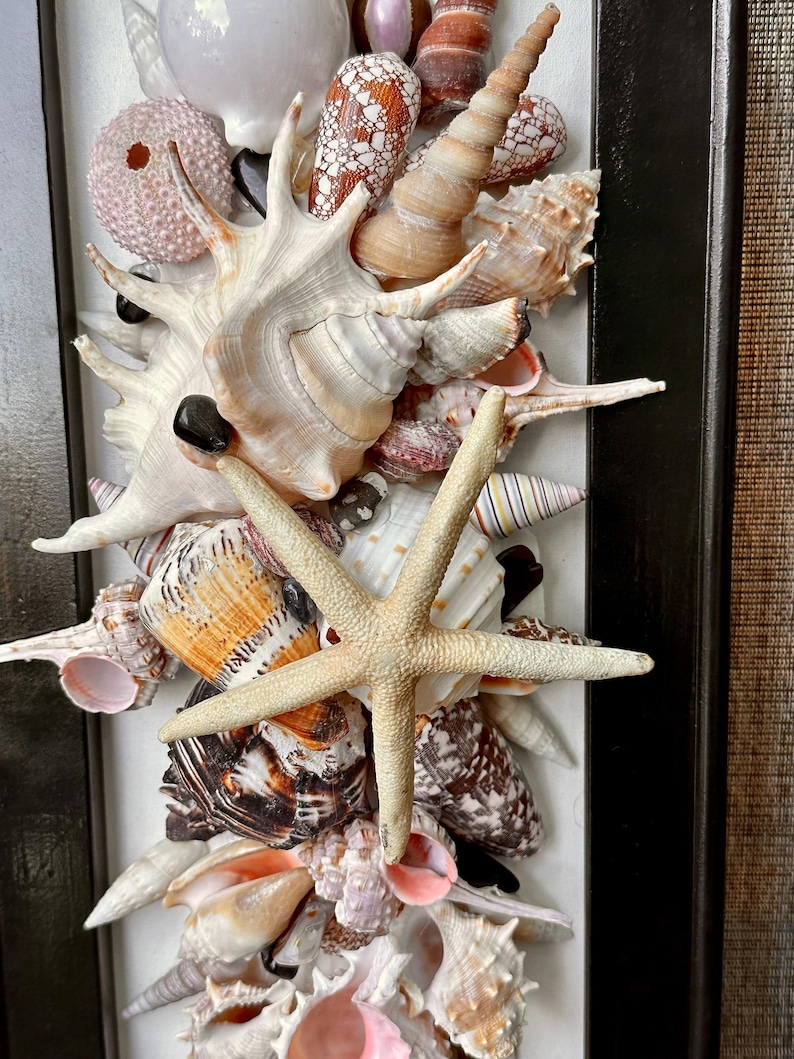 Framed Seashell Art Shell Picture Frame Natural Sea Shells Coastal ...