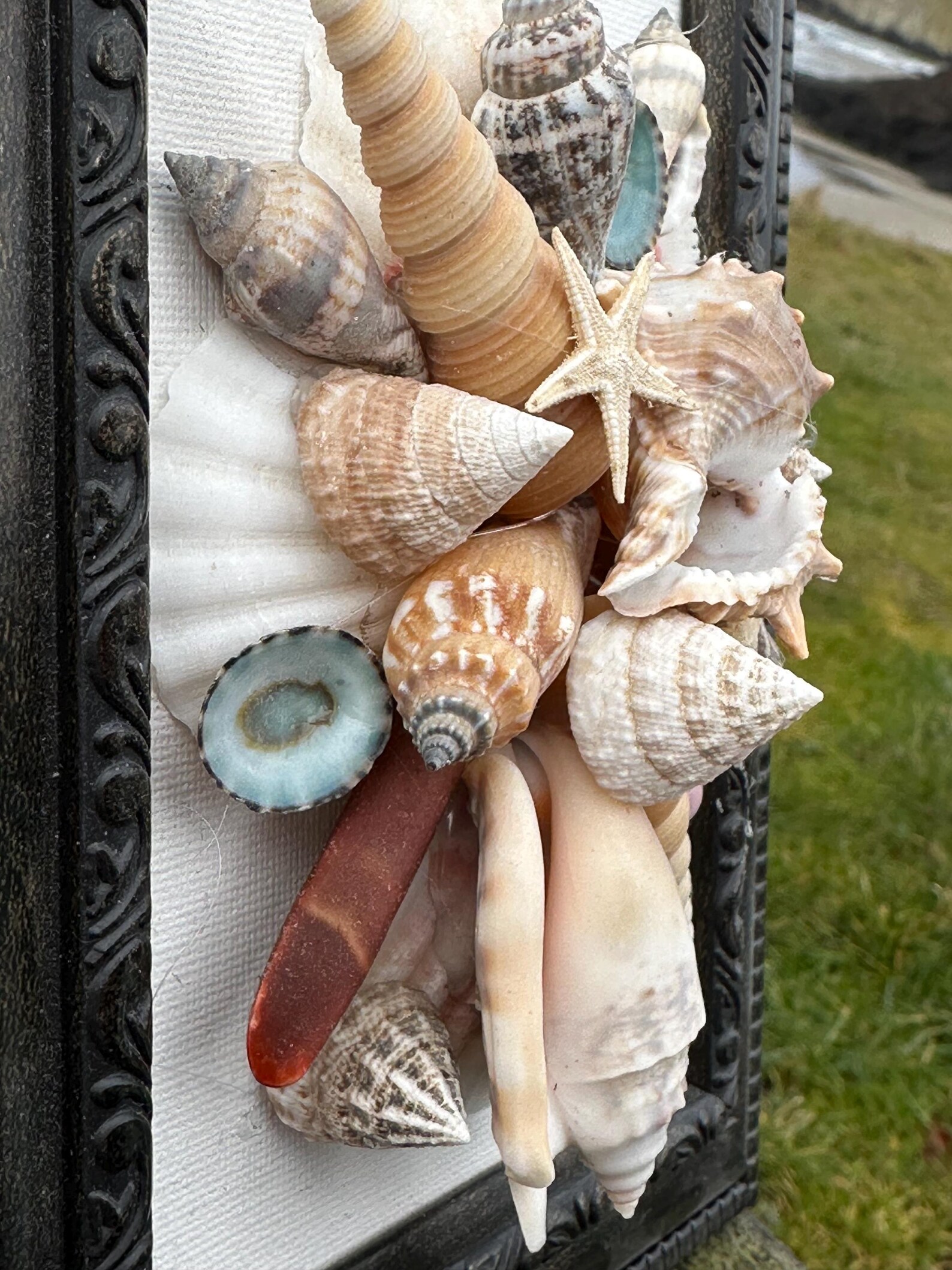 Sea Shell Art Frame. Coastal Wall Art. Natural Sea Shells. Beach House ...