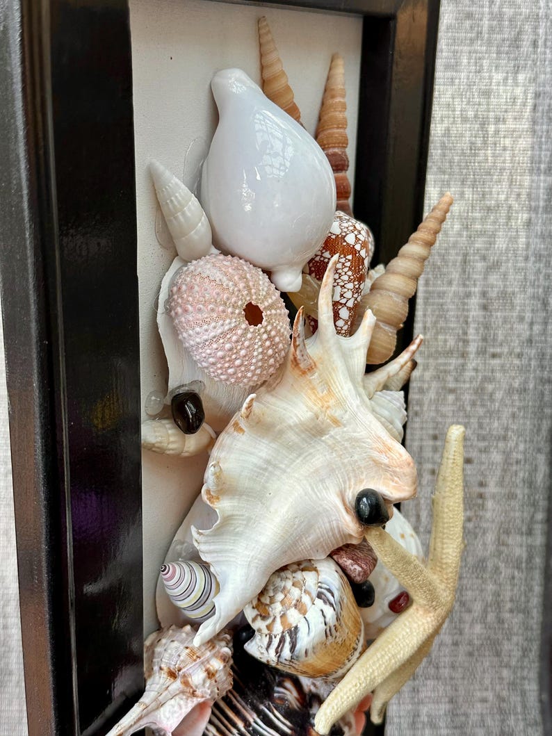 Framed Seashell Art Shell Picture Frame Natural Sea Shells Coastal ...