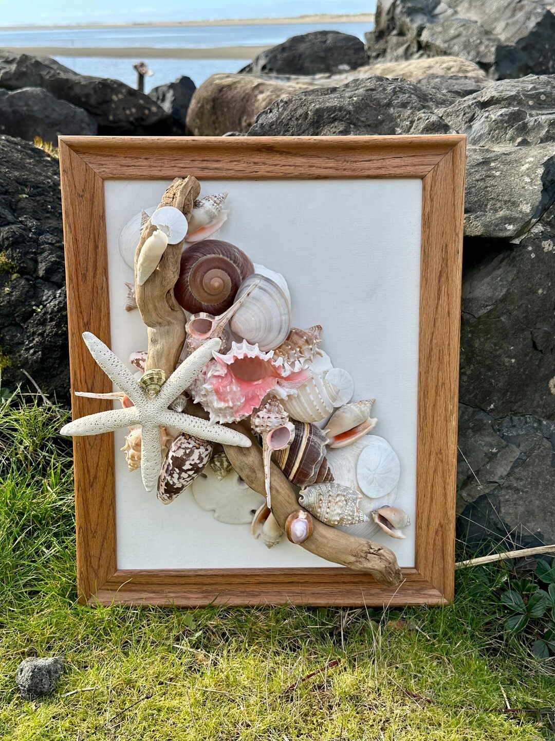 Pink Sea Shells Framed, Unique Wall Art, Shell Wall Art, Natural Sea ...