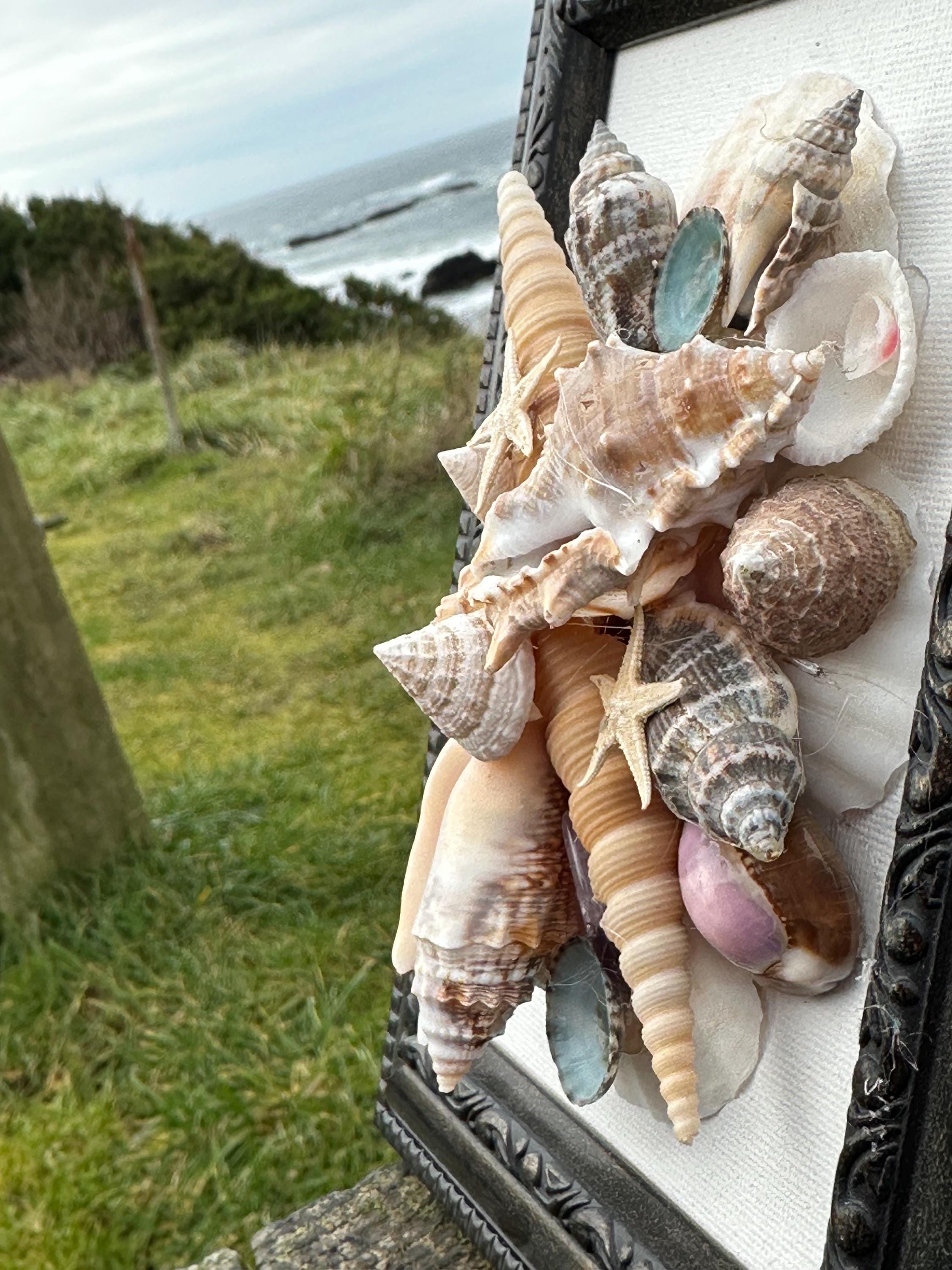 Sea Shell Art Frame. Coastal Wall Art. Natural Sea Shells. Beach House ...