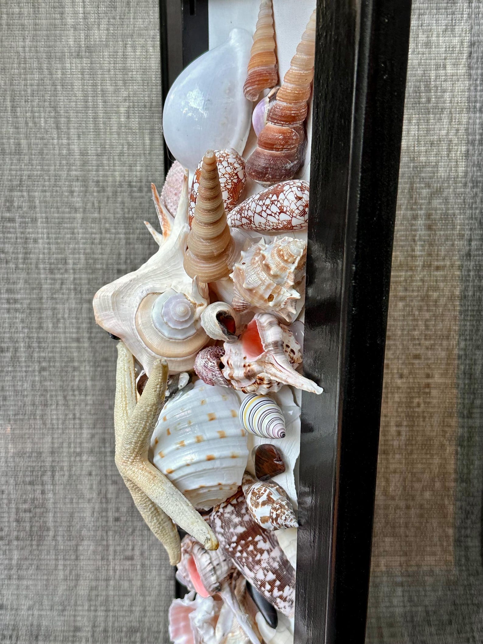 Framed Seashell Art Shell Picture Frame Natural Sea Shells Coastal ...