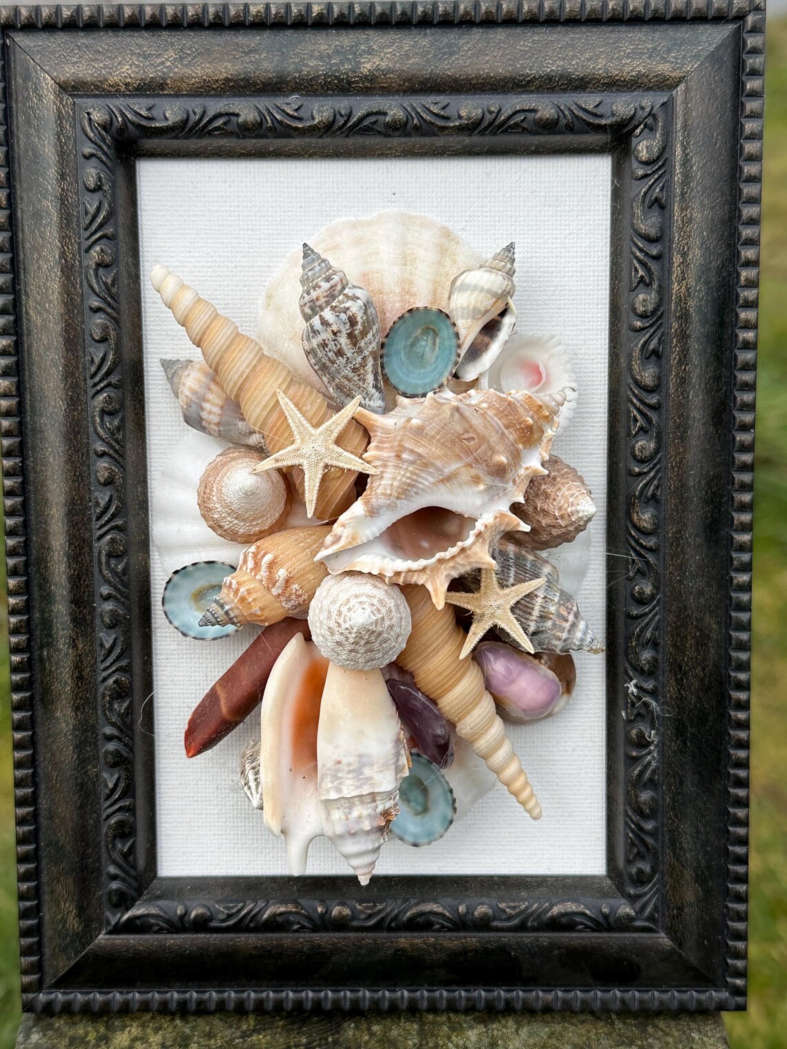 Sea Shell Art Frame. Coastal Wall Art. Natural Sea Shells. Beach House ...