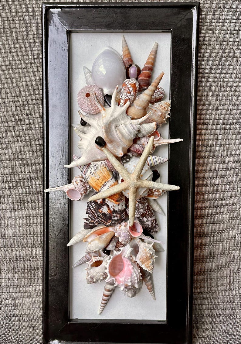 Framed Seashell Art Shell Picture Frame Natural Sea Shells Coastal ...