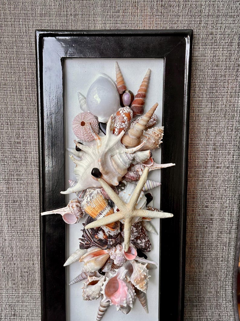 Framed Seashell Art Shell Picture Frame Natural Sea Shells Coastal ...