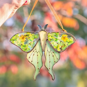 Luna Moth Stained Glass Butterfly Wall Art Gift for Him Custom Stained ...