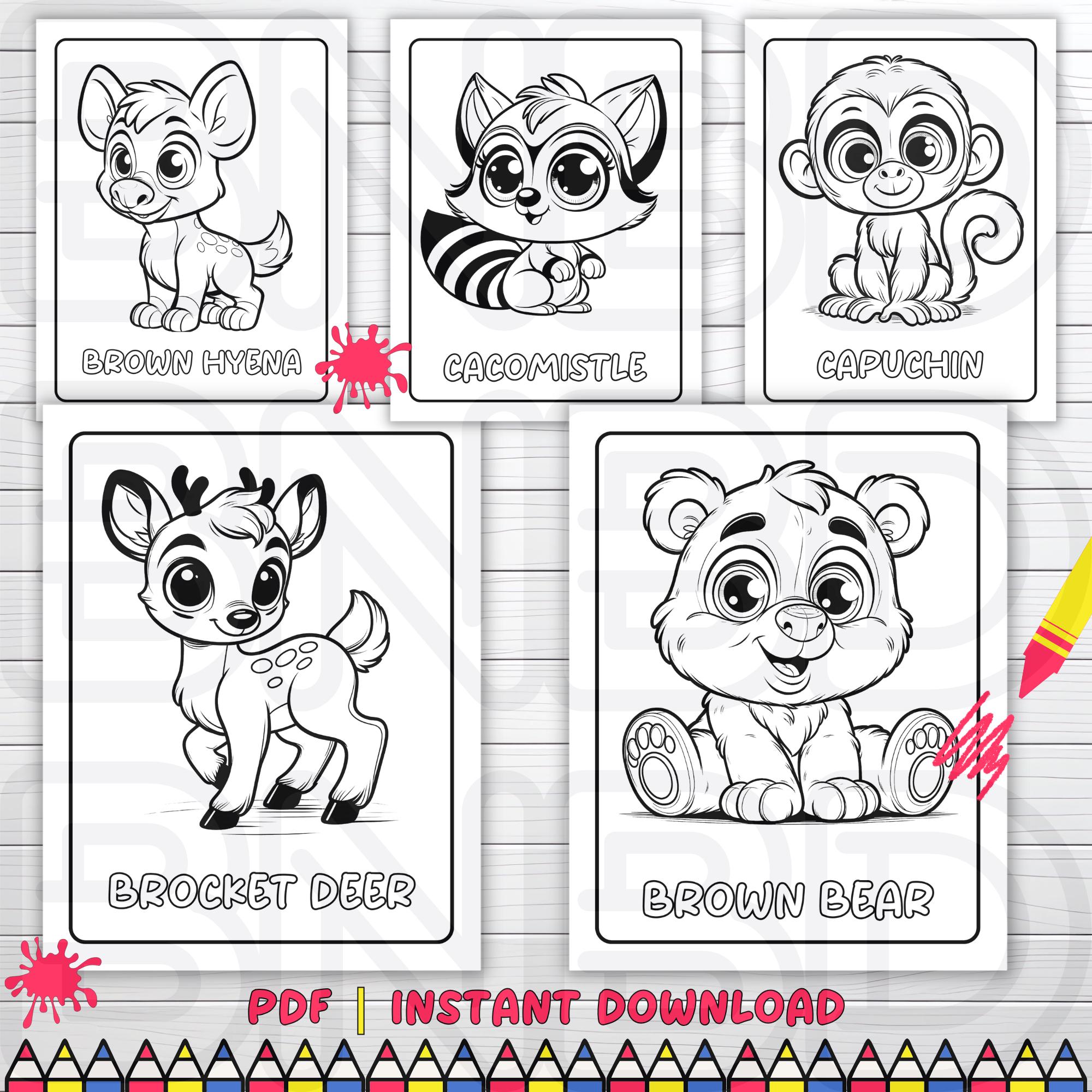 300 Kawaii Mammals Coloring Pages, Cute Coloring, Kids Activities ...