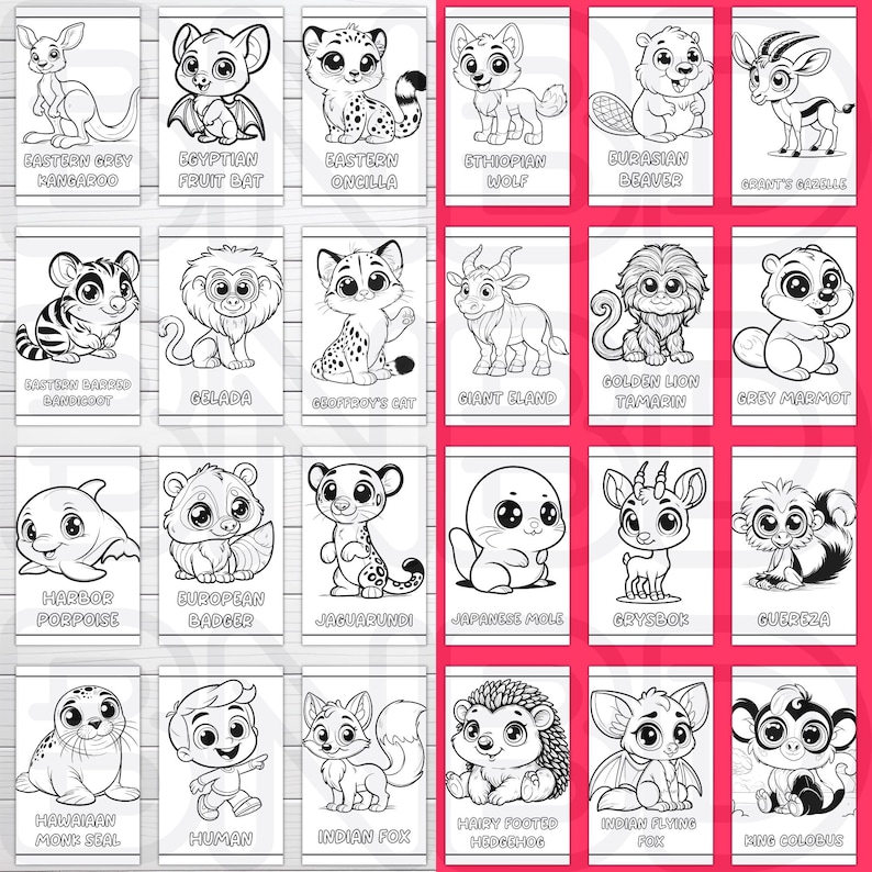 200 Kawaii Mammals Coloring Pages, Cute Coloring, Kids Activities ...