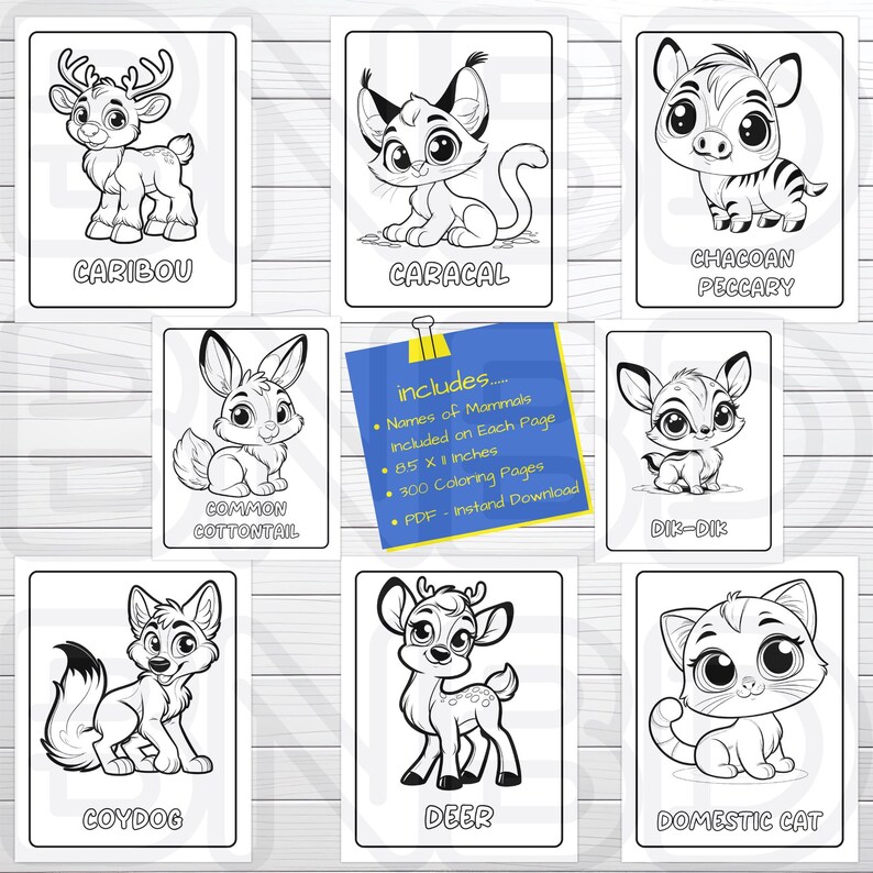 300 Kawaii Mammals Coloring Pages, Cute Coloring, Kids Activities ...
