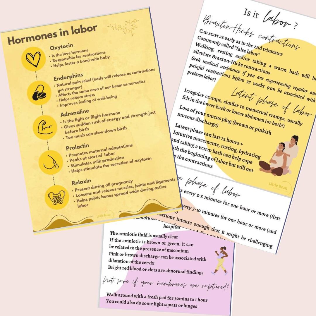 Labor Essentials : Hormones of Labor and is It Labor ? (cheat Sheet) - Etsy