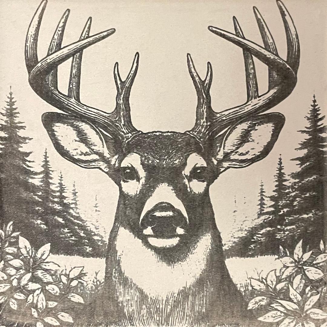 Regal Buck Head on Tile - Etsy