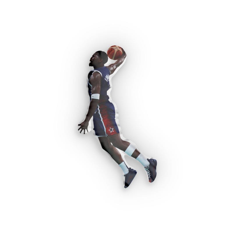 Lebron James Pillow - Etsy