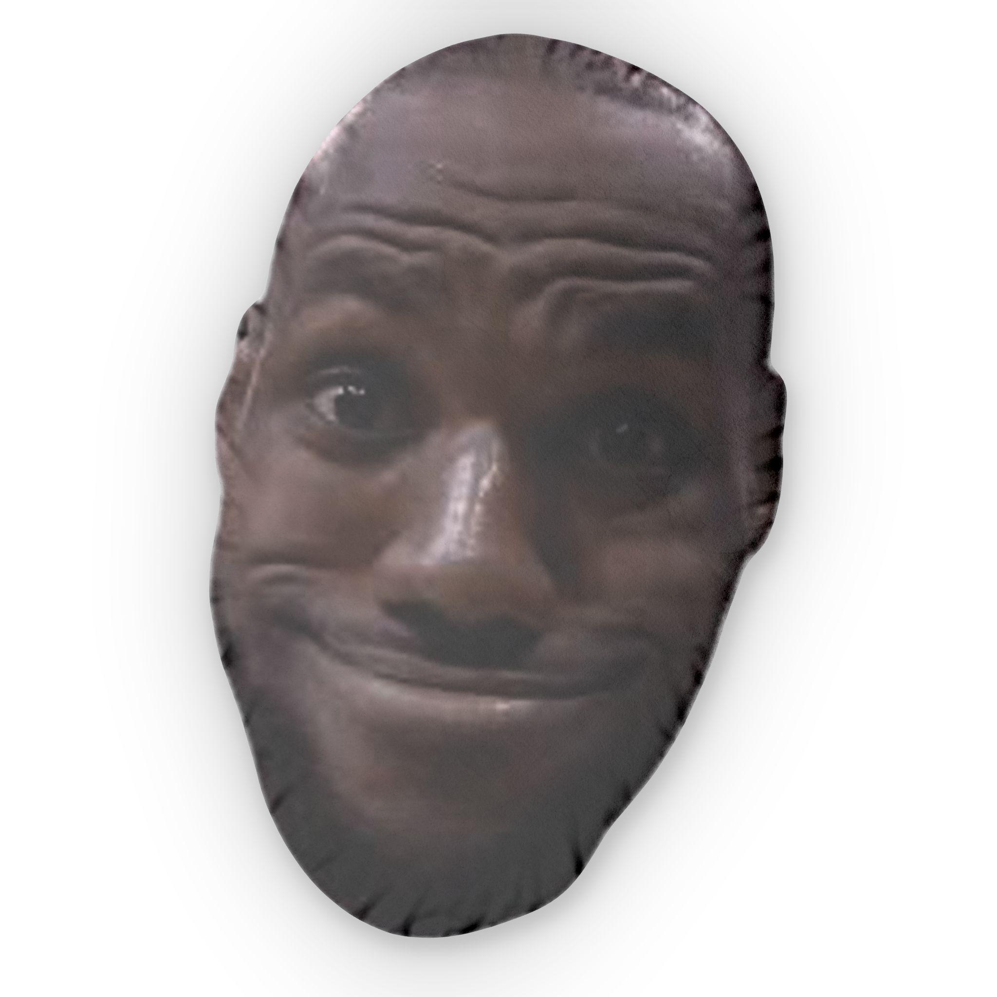 Basketball Face Pillow, Lebron James Custom Shaped Cushion for ...
