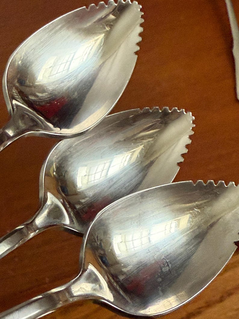 Vintage Oneida Patrick Henry Stainless Flatware, Grapefruit Spoons ...